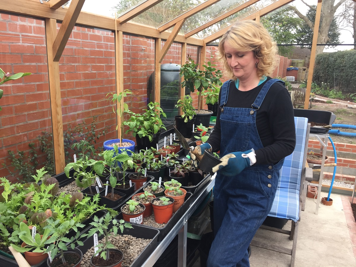 My Gardening Story- Walnut Kitchen Garden