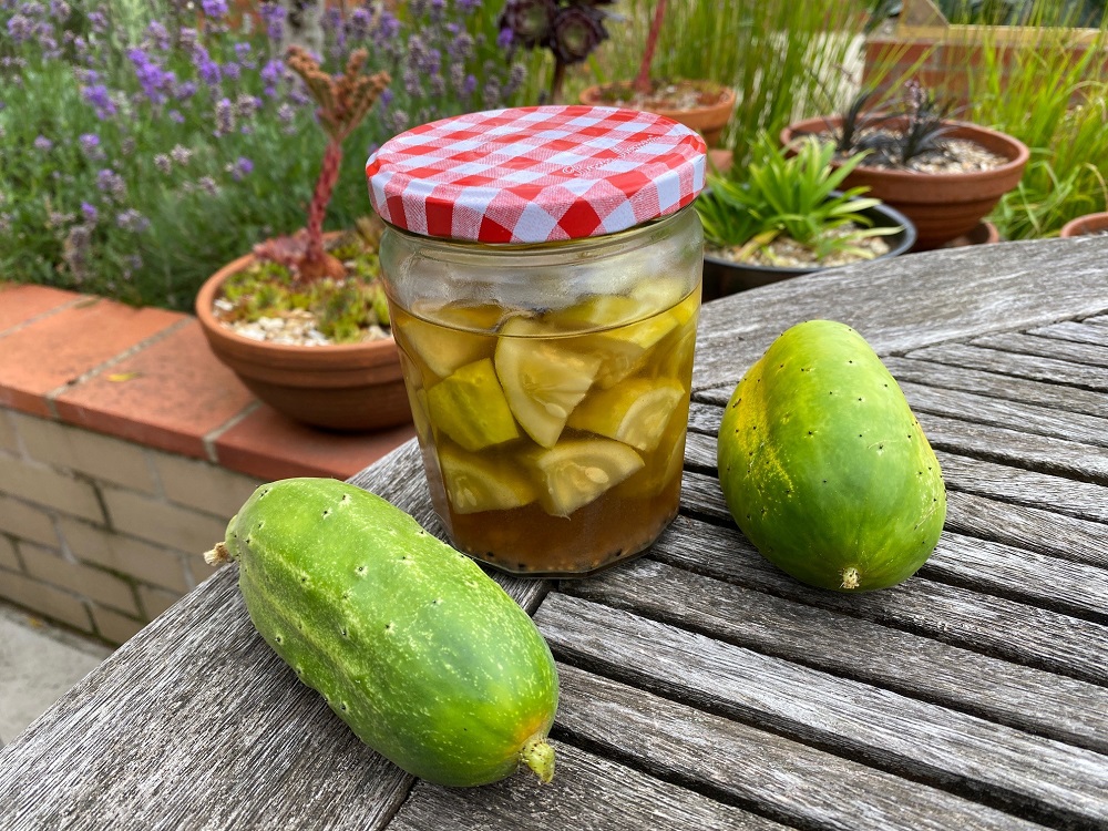 How to Pickle Gherkins – The quick & easy way